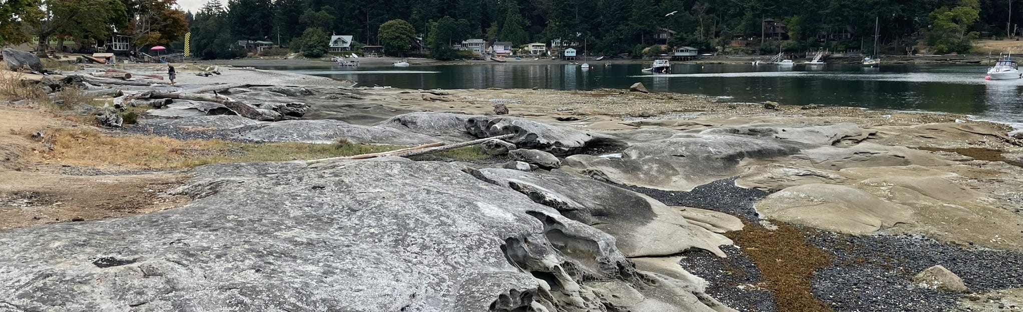 Shoreline Trail and Kanaka Trail Loop: 27 Reviews, Map - British ...