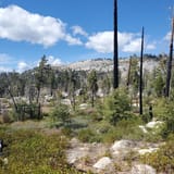 Kibbie Lake Trail, California - 148 Reviews, Map | AllTrails