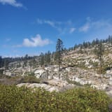 Kibbie Lake Trail, California - 148 Reviews, Map | AllTrails