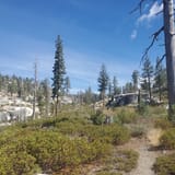 Kibbie Lake Trail, California - 148 Reviews, Map | AllTrails