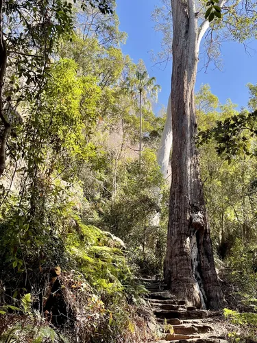 Best Hikes and Trails in Cania Gorge National Park | AllTrails
