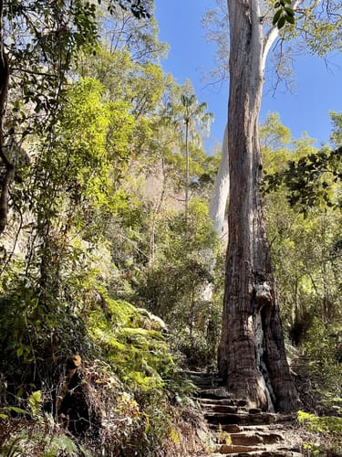 Bedste vandreture og ruter i Cania Gorge National Park | AllTrails