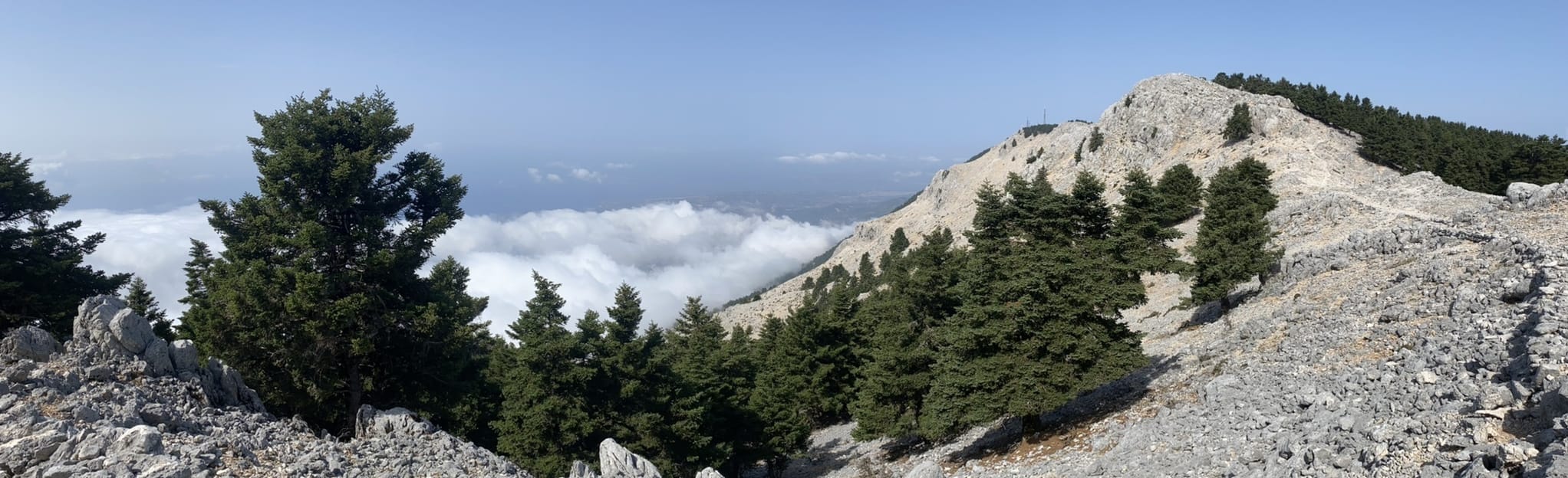 Mt Ainos East Ridge: 177 fotos - Kefalonia, Grécia | AllTrails