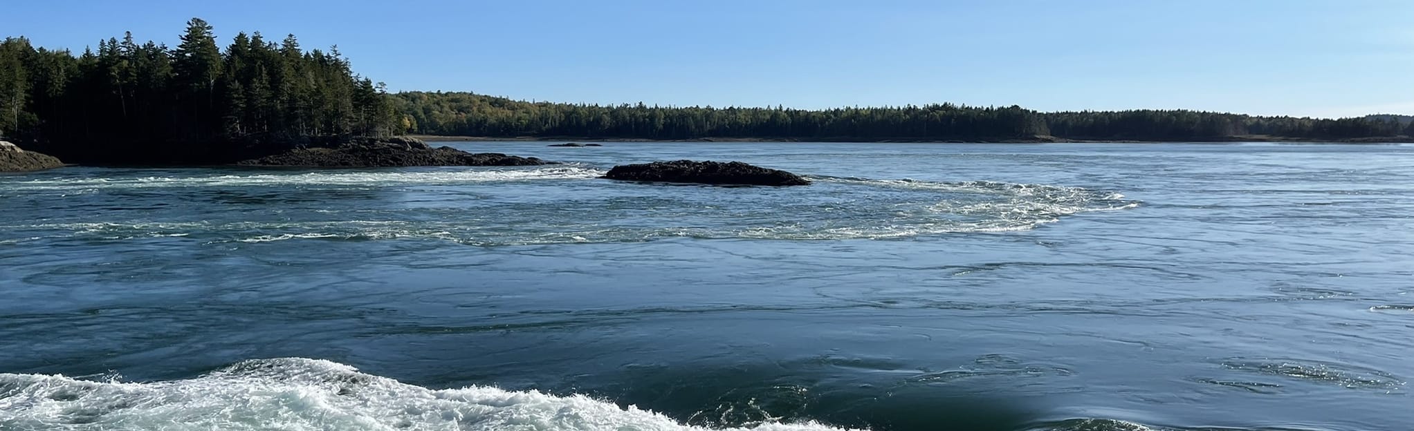 Reversing Falls Park Trail: 108 Reviews, Map - Maine | AllTrails