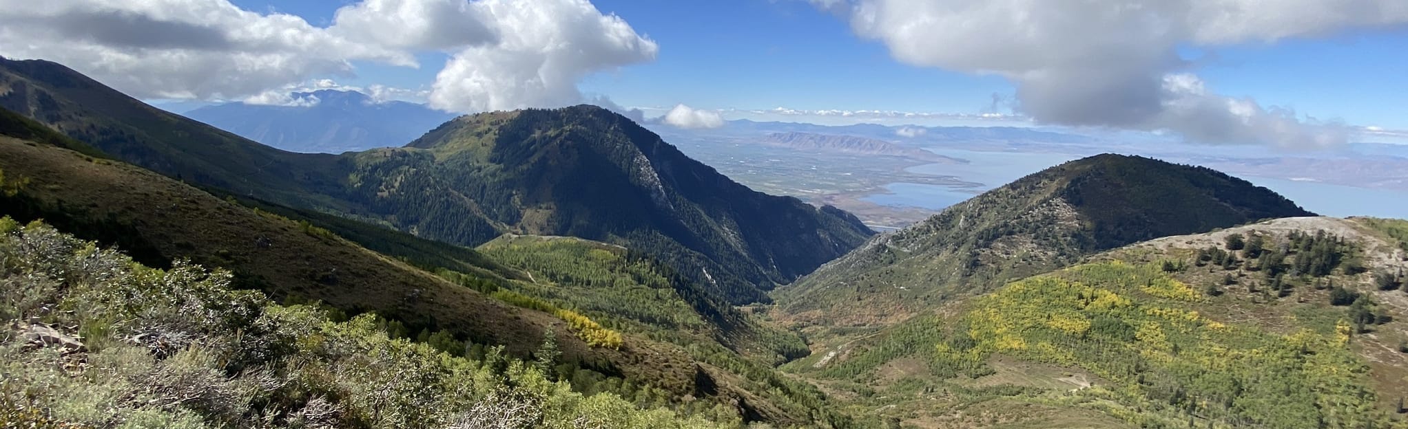 Provo Peak, Utah - 164 Reviews, Map | AllTrails