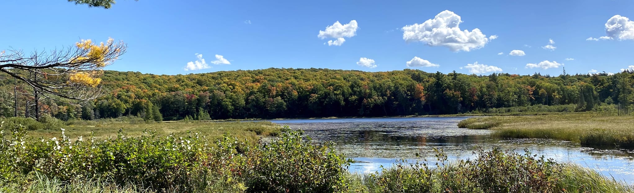AllTrails | Porcupine Mountains Loop: 12 Reviews, Map - Michigan