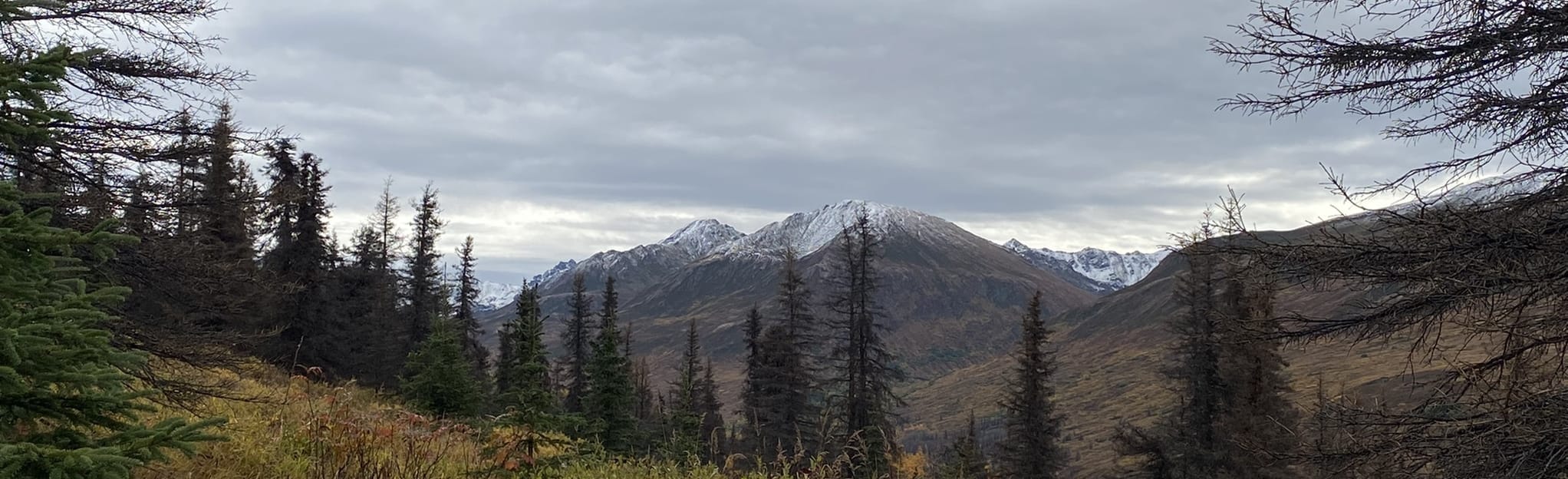 Box Mountain Ridge: 2 Reviews, Map - Alaska | AllTrails