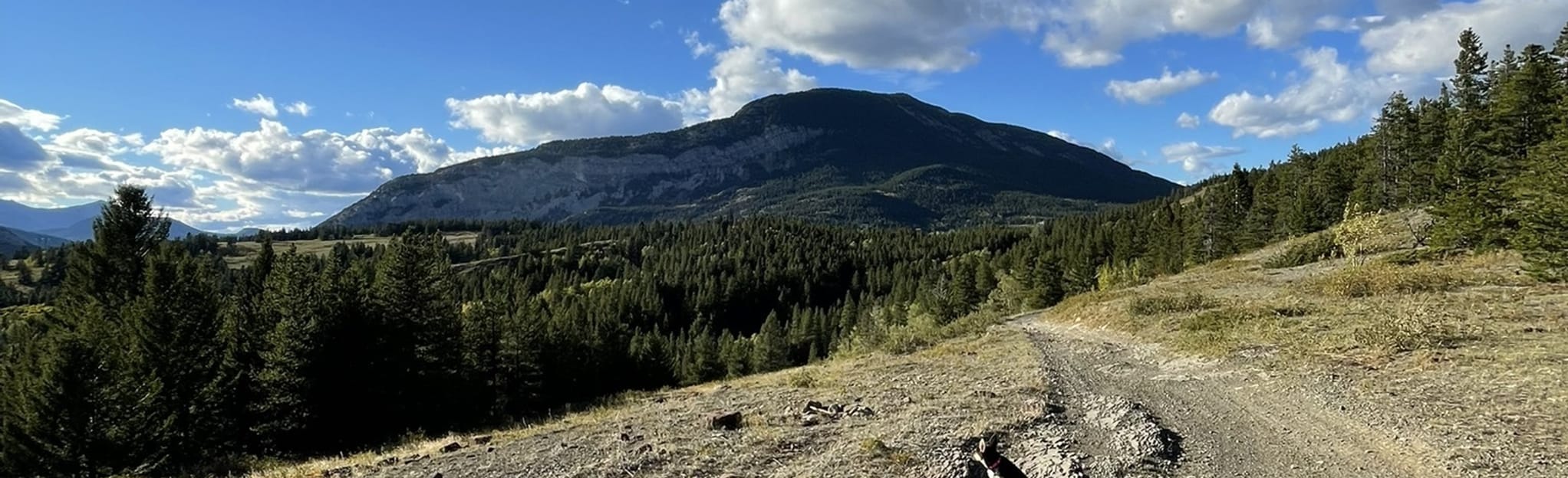 Bellevue Fireman’s Park Loop, Alberta, Canada - 49 Reviews, Map | AllTrails