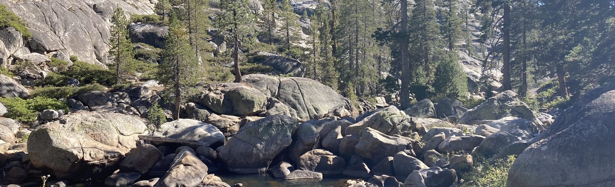 Utica Reservoir Campground to Stanislaus River Loop: 17 Fotos ...