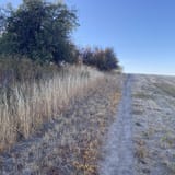 Magpie Forest Trail, Washington - 38 Reviews, Map | AllTrails