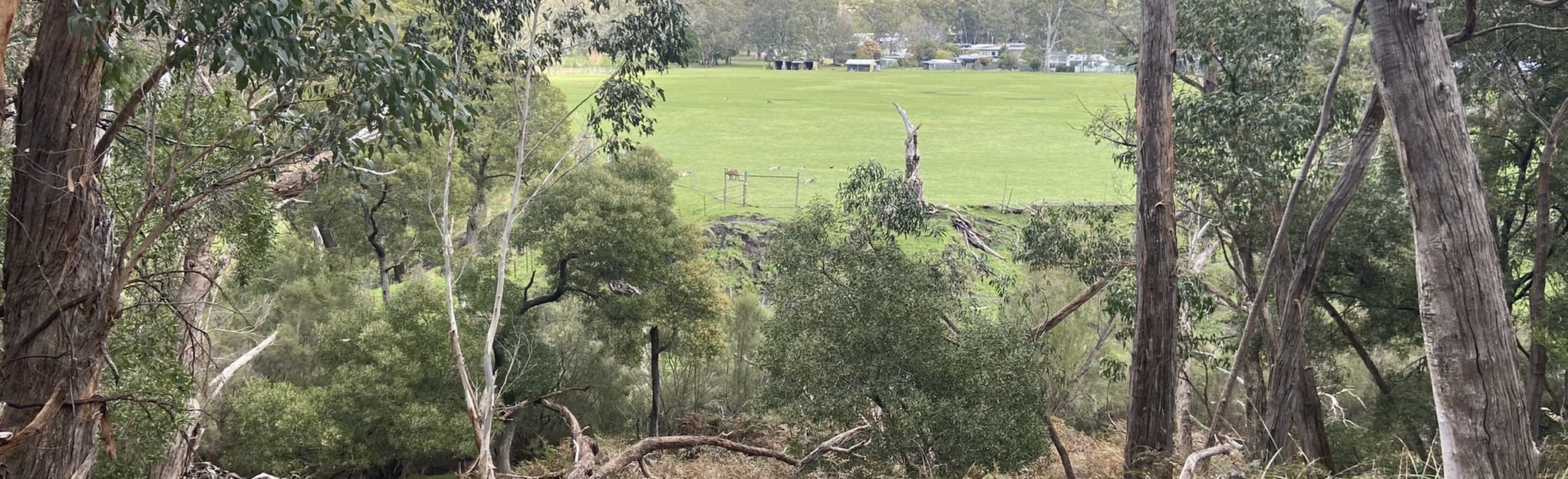 Boronia Peak via Boronia Trail, Victoria, Australia - 52 Reviews, Map ...