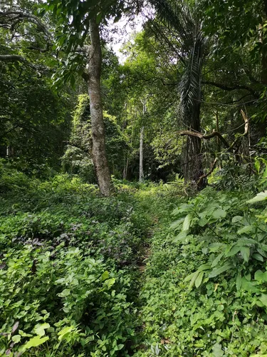 10 Best Hikes and Trails in Hat Noppharat Thara - Mu Koh Phi Phi ...