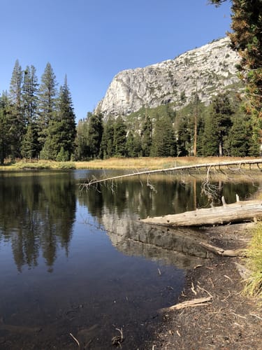 Best 10 Hikes and Trails in Emigrant Wilderness | AllTrails
