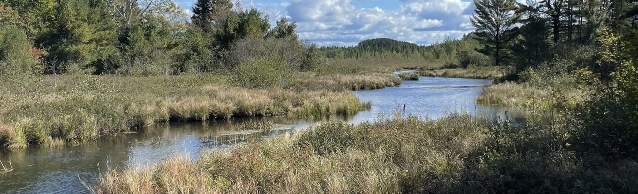 Lumberjack Trail Loop, Wisconsin - 64 Reviews, Map | AllTrails