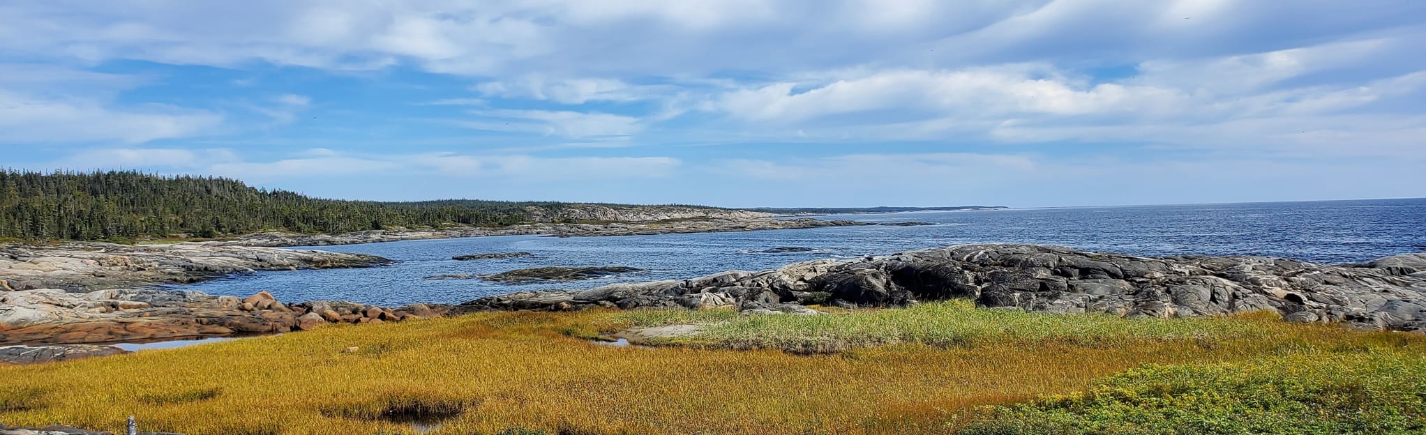 Tourbiere Trail, Quebec, Canada - 36 Reviews, Map | AllTrails