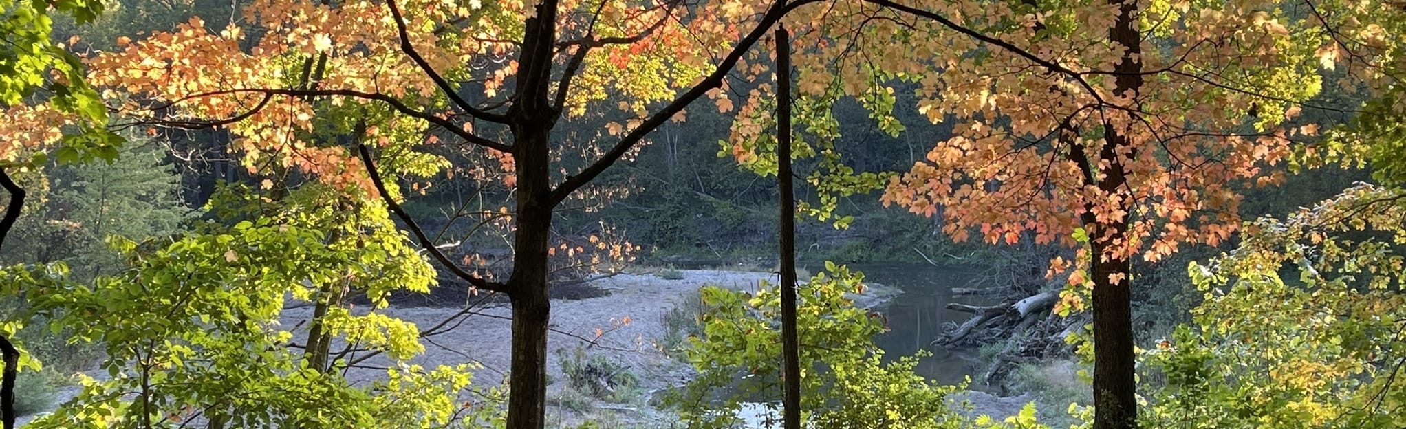 Beaver Falls, Minnesota - 23 Reviews, Map | AllTrails