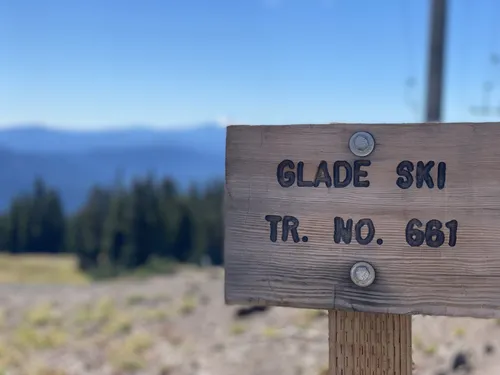 Timberline Bike Park: de beste routes om te wandelen | AllTrails