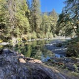 Four Stream Trail, Washington - 186 Reviews, Map | AllTrails
