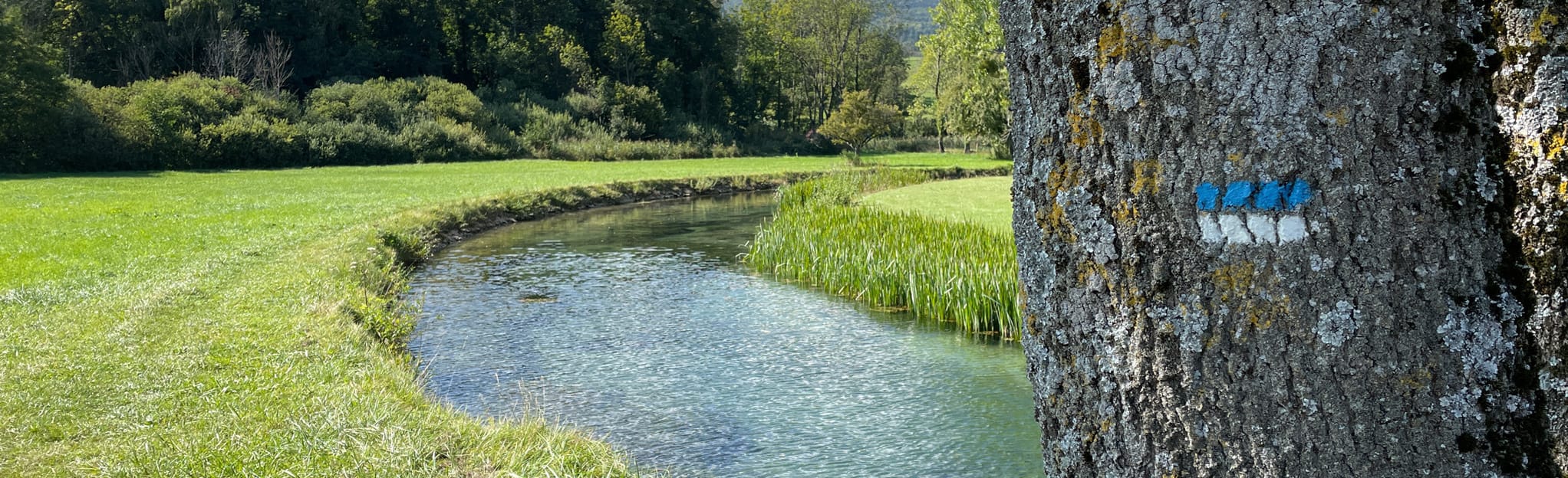 Sources de la Venoge - Sentier des 3 Refuges: 4 Reviews, Map - Vaud ...