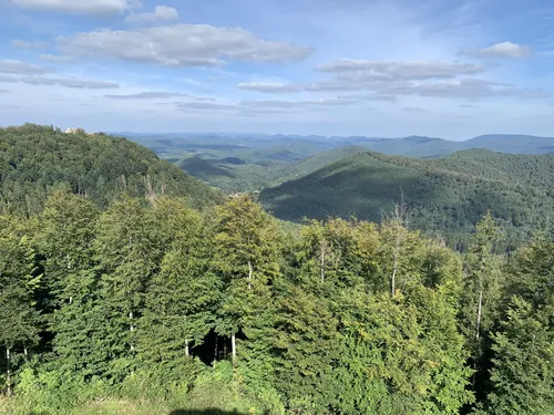 10 Best Hikes and Trails in Northern Vosges Regional Nature Park ...