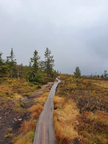 10 Best Backpacking Trails in Sweden | AllTrails