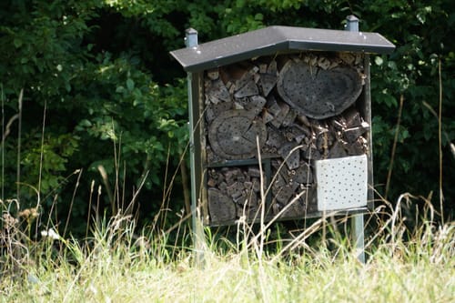 2023 Best Trails in Maßweiler | AllTrails