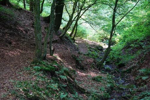 2023 Best Trails in Maßweiler | AllTrails