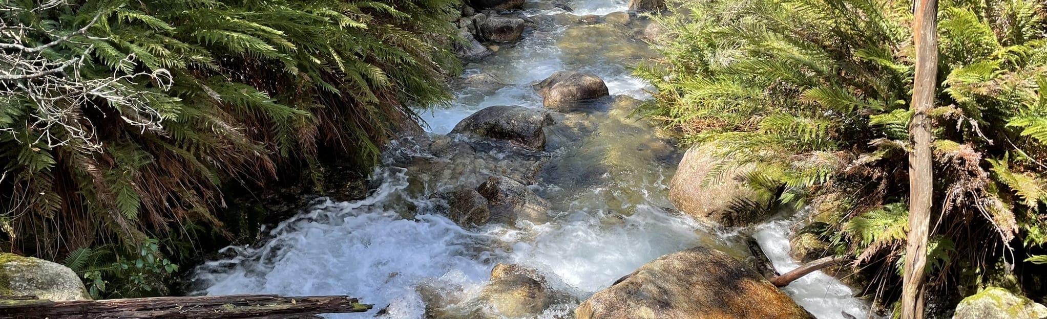 Eurobin Falls Walk, Victoria, Australia - 118 Reviews, Map | AllTrails