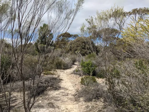 Best Hikes and Trails in Monarto Conservation Park | AllTrails