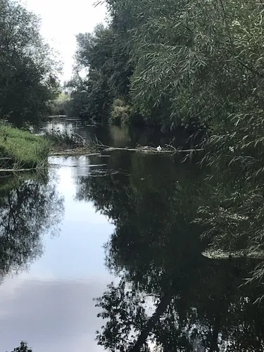 Best Hikes and Trails in Canford Park SANG | AllTrails