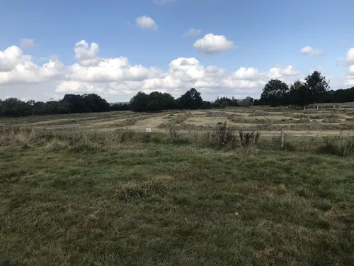 Best Hikes and Trails in Canford Park SANG | AllTrails