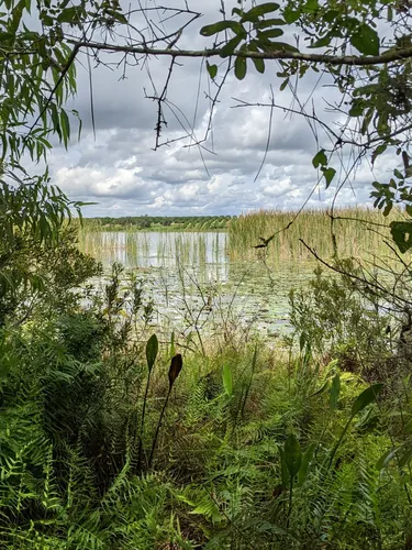 Best Hikes and Trails in Hickory Lake Scrub | AllTrails