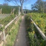 Sconset Bluff Path, Massachusetts - 276 Reviews, Map | AllTrails