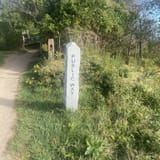 Sconset Bluff Path, Massachusetts - 276 Reviews, Map | AllTrails