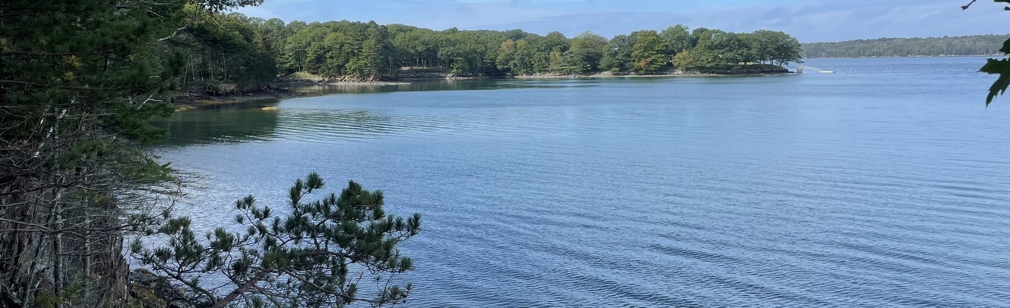 Wilson’s Cove Trail: 67 foto's - Maine | AllTrails