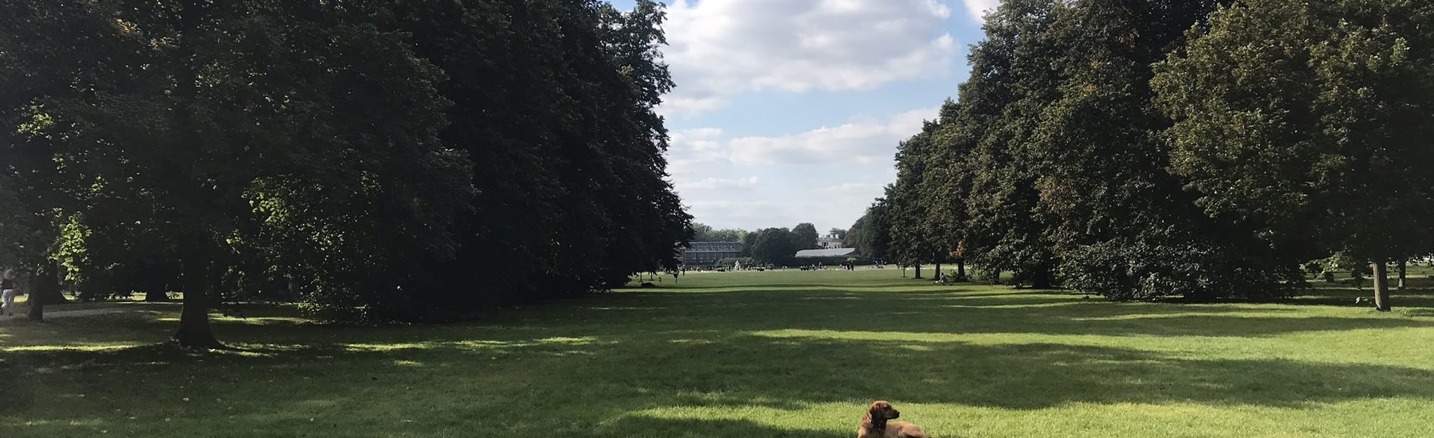 Flower Walk and Mount Walk Circular, London, England - 12 Reviews, Map ...