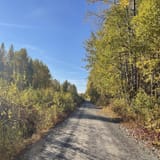 Talkeetna River Trail to Chase Trail, Alaska - 102 Reviews, Map | AllTrails