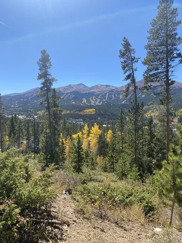 10 Best Forest Trails in Town of Breckenridge Trail Systems | AllTrails