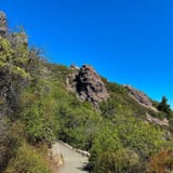 Verna Dunshee Loop, California - 222 Reviews, Map | AllTrails