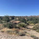 Devil's Canyon Trail, Arizona - 166 Reviews, Map | AllTrails