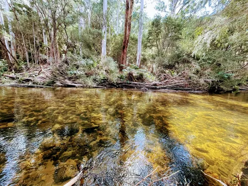 Best Hikes and Trails in Moondarra State Park | AllTrails