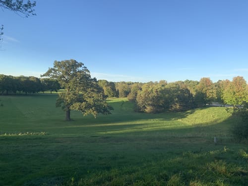 2023 Best 10 Trails and Hikes in Delafield | AllTrails