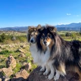 Narrabundah Hill, Australian Capital Territory, Australia - 150 Reviews ...