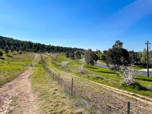 Best 10 Hikes and Trails in Cooleman Ridge Nature Reserve | AllTrails