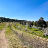 Narrabundah Hill, Australian Capital Territory, Australia - 150 Reviews ...