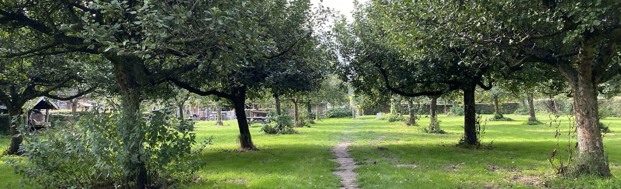 Hiking Trail Vrijenberg and Loenen Waterfall: 40 Fotos - Gelderland ...