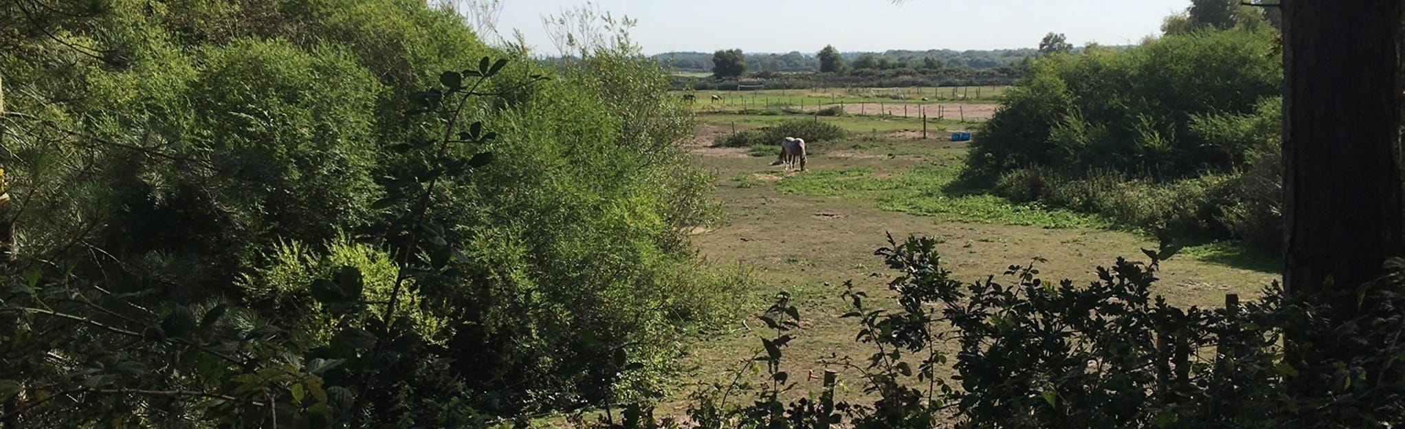 Ainsdale Nature Reserve, 260 Fotos - Merseyside, England | AllTrails