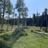 Crystal Springs Loop, Utah - 126 Reviews, Map | AllTrails