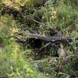 Crystal Springs Loop, Utah - 126 Reviews, Map | AllTrails