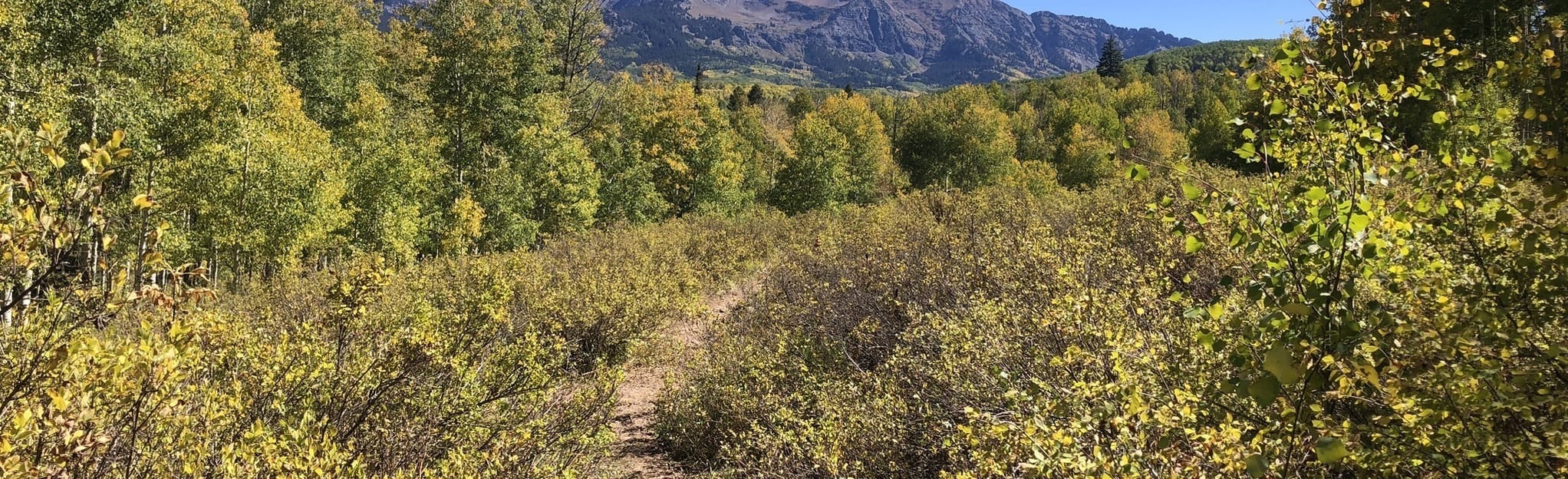 Ruby Anthricite, Colorado - 31 Reviews, Map | AllTrails